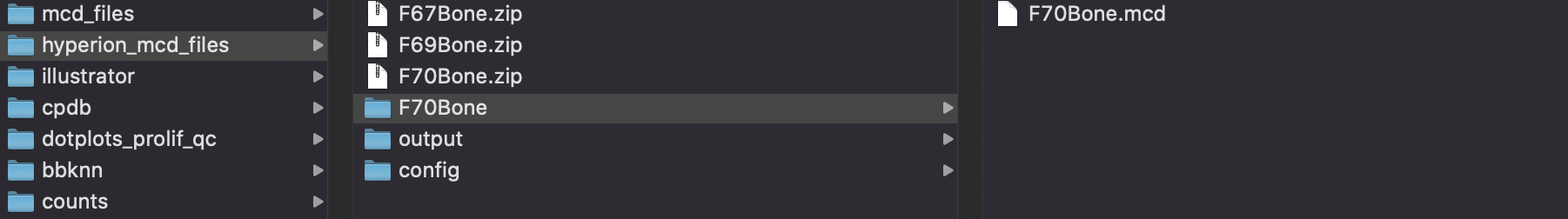 The convert_folder2imcfolder function returns AssertionError: assert(len(mcd_files) == 1 ...