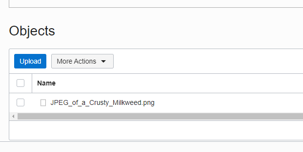 Determine Library To Access Oracle Bucket · Issue 71 · Bitnulls Storybook · Github