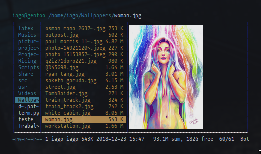 Handle terminal borders with the w3m preview · Issue #1332 · ranger/ranger · GitHub