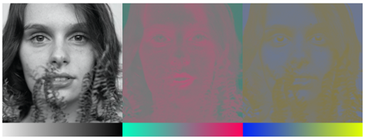 GitHub - omkarb09/Image-Colorization: Image Colorization using CNN