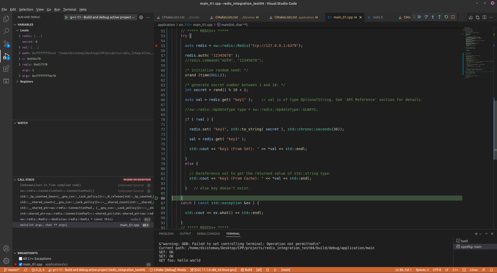 [BUG] When the "-static" option is used get a Segmentation fault (Core dumped) [Resolved ...