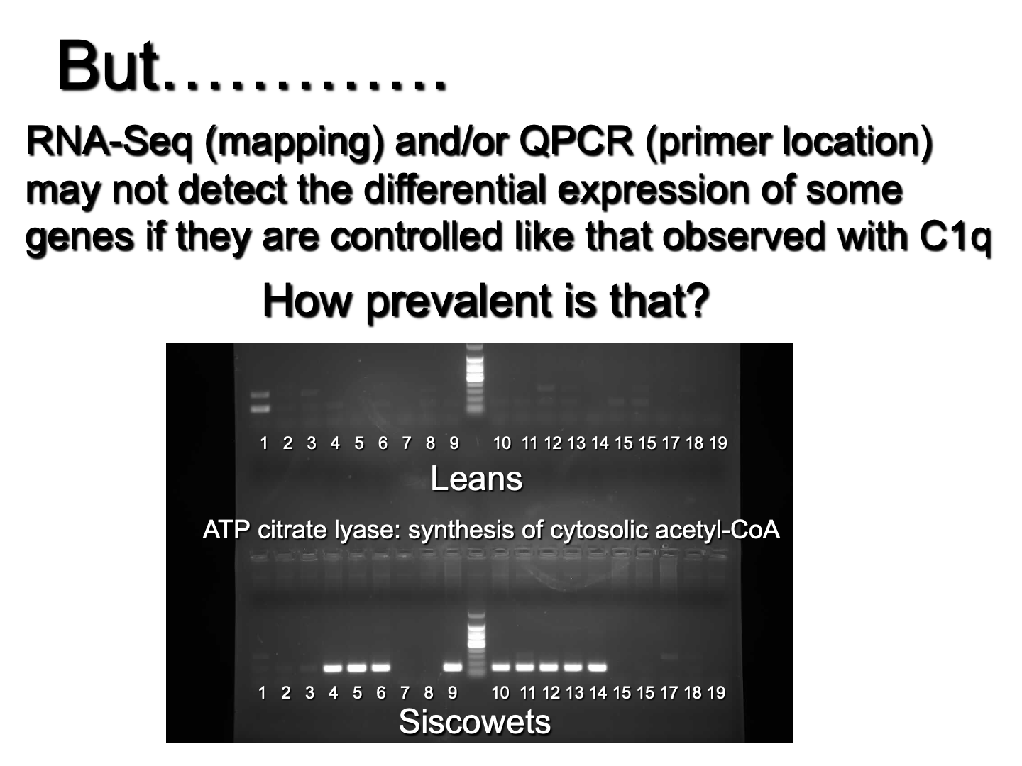 ATP citrate lyase target gene for alt splicing · Issue #2 · RobertsLab/project-lake-trout · GitHub