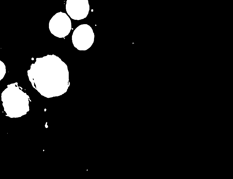 GitHub - amartyacodes/Cell-Detection-Using-Image-Processing: This Repo Contains the code to ...