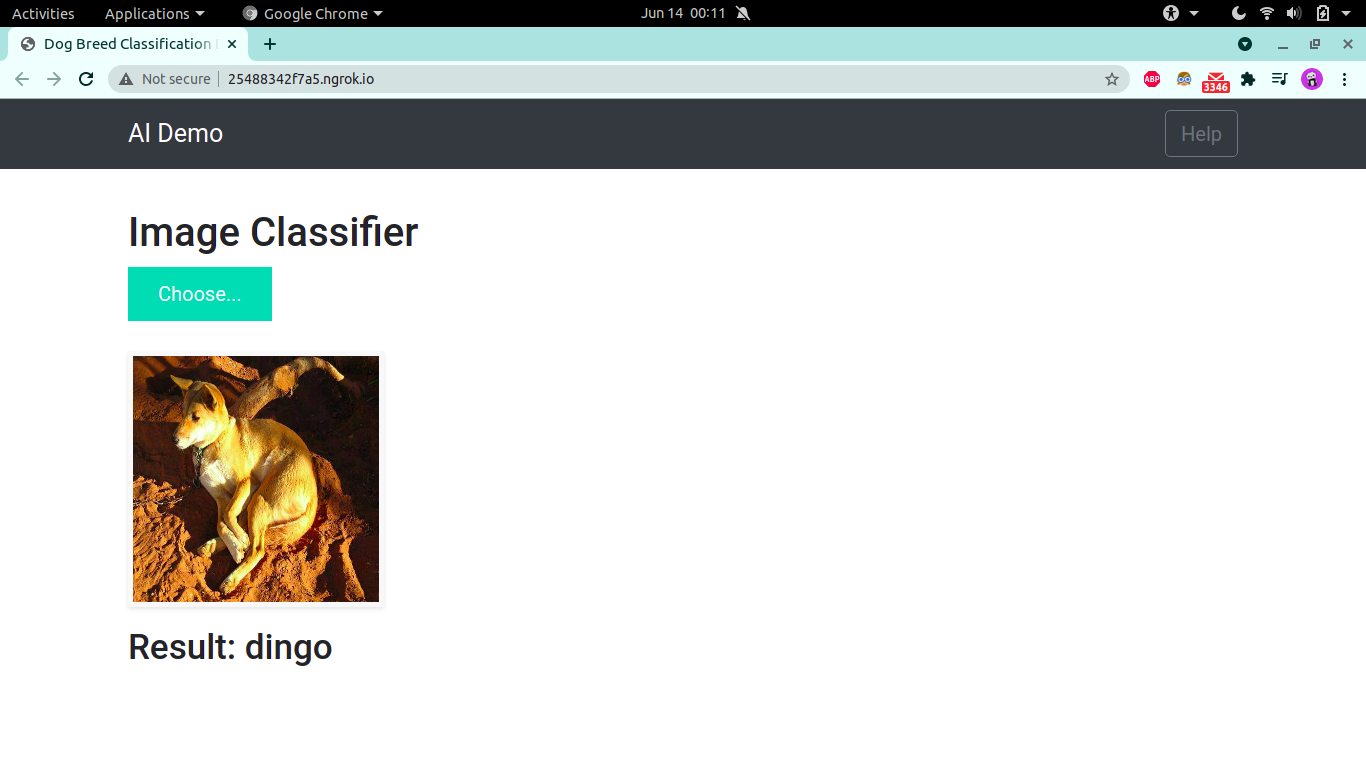 GitHub - amartyacodes/Qure.AI-Assignment: A Google Lens prototype of using Image Classification ...