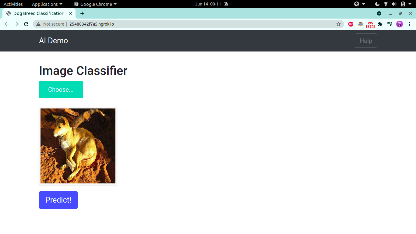 GitHub - amartyacodes/Qure.AI-Assignment: A Google Lens prototype of using Image Classification ...