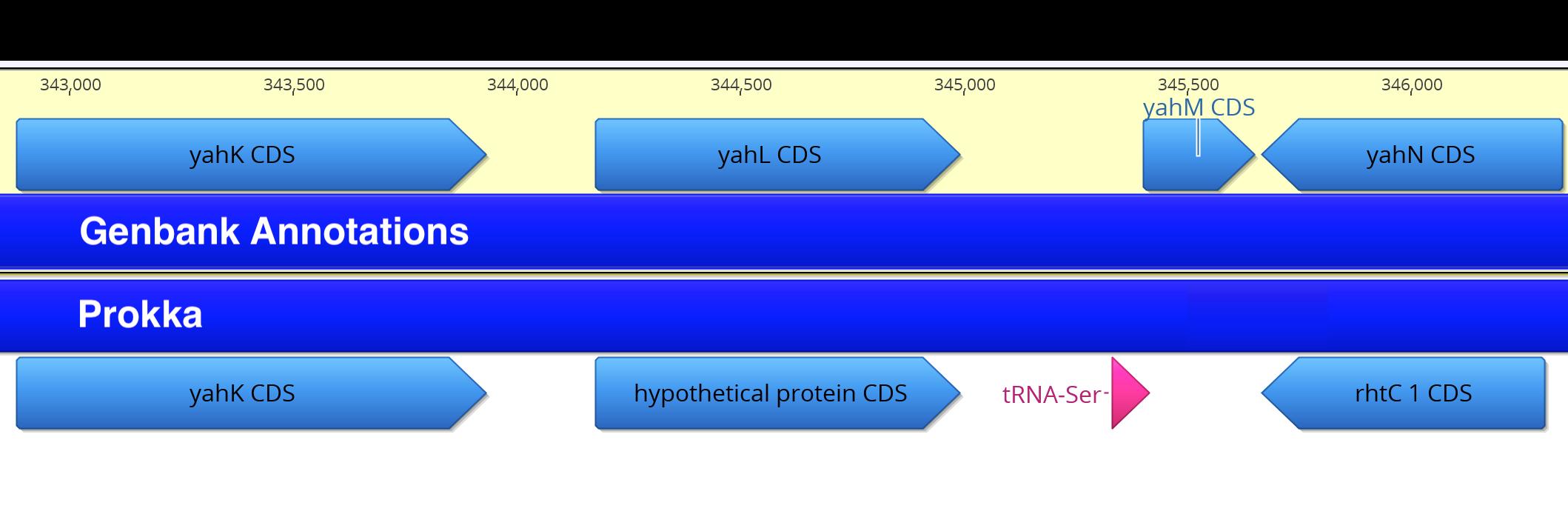 Prediction of tRNAs · Issue #345 · tseemann/prokka · GitHub