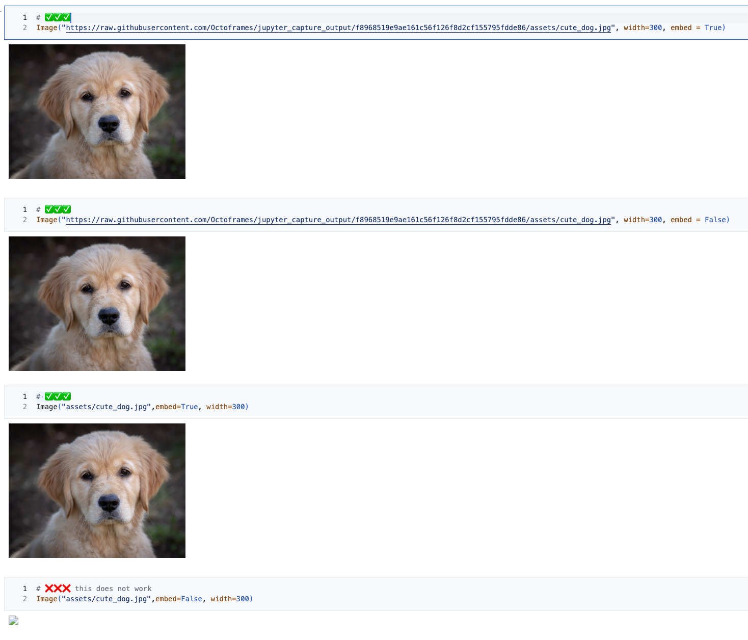 Bug In `image` When Using Local File With`embed False` · Issue 13971 · Ipython Ipython · Github