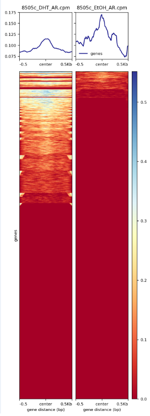 plotHeatmap choppy plot—sorting error? · Issue #983 · deeptools/deepTools · GitHub