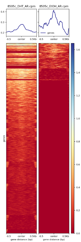 Plotheatmap Choppy Plot—sorting Error · Issue 983 · Deeptools