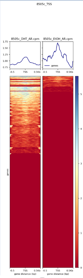 plotHeatmap choppy plot—sorting error? · Issue #983 · deeptools/deepTools · GitHub