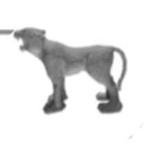 Strange error during training: Assertion failed (scn == 3 || scn == 4) in cvtColor · Issue #9217 ...