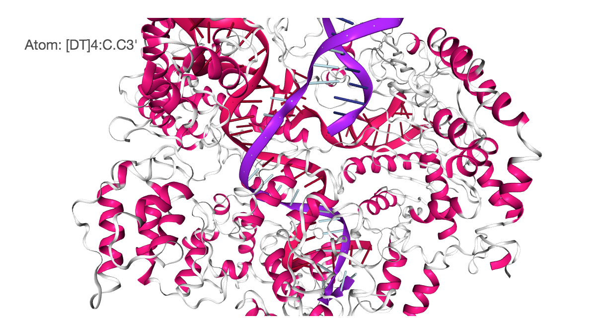 suggestion: get secondary structure from pyrosetta pose and load into ...