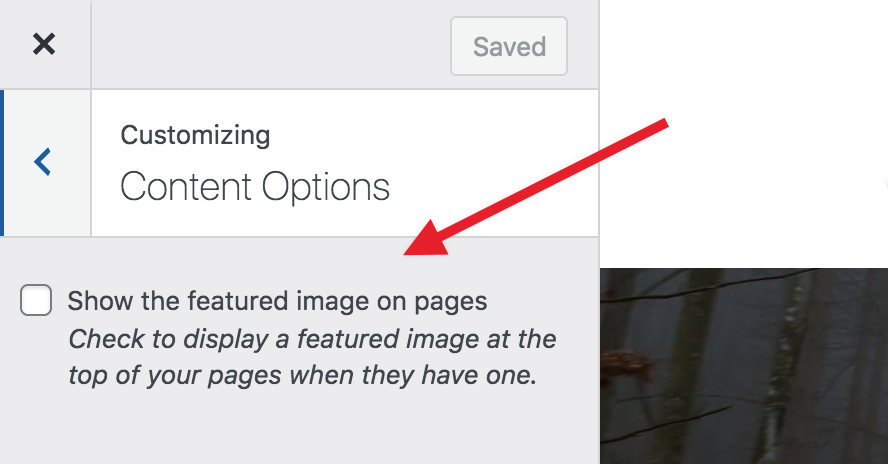 Varia themes: Add option to also hide automatic featured images on posts · Issue #3544 ...