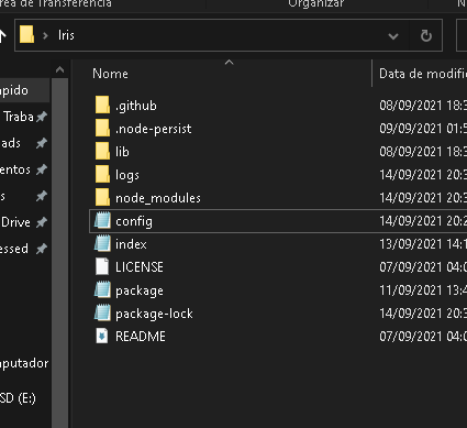 Npm start · Issue #246 · KillovSky/Iris · GitHub