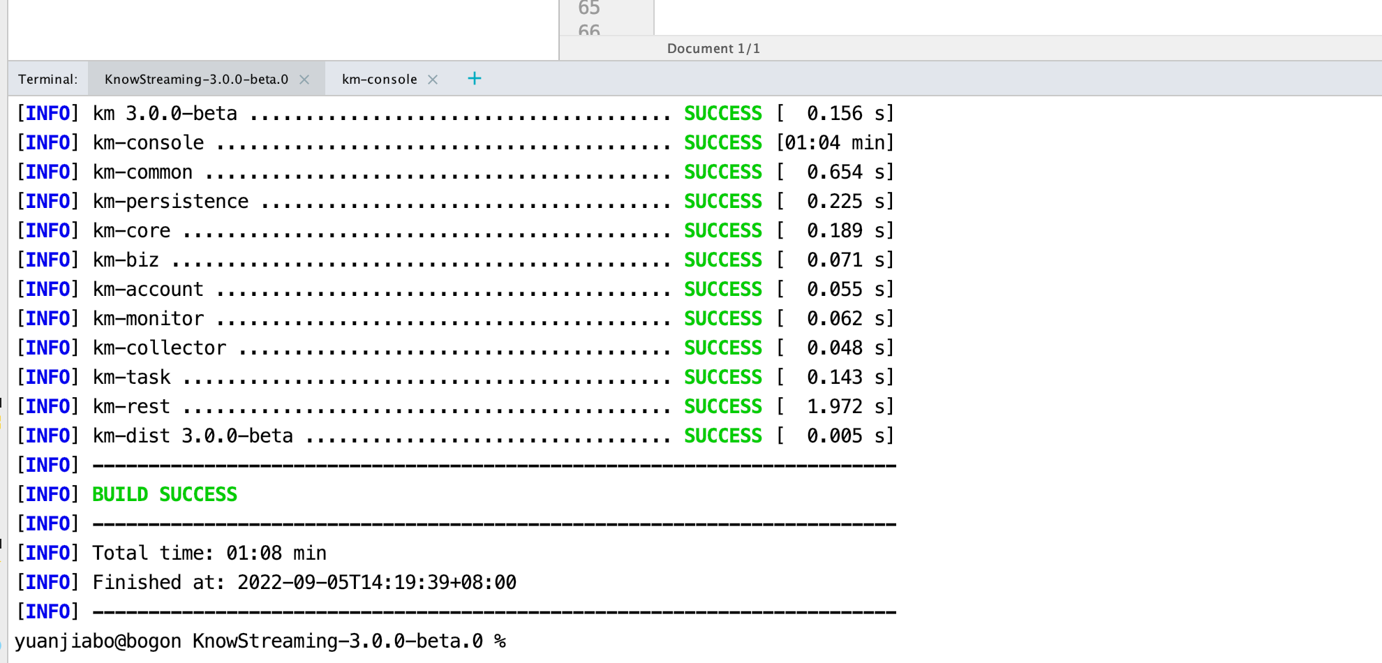 本地编译KnowStreaming-3.0.0-beta.0源码，idea启动后访问http://localhost:8080/，页面显示空白是啥原因啊？ · Issue #553 ...