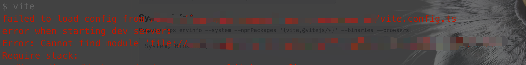 Cannot Find Module file xxx When Vite config ts Import Absolute 
