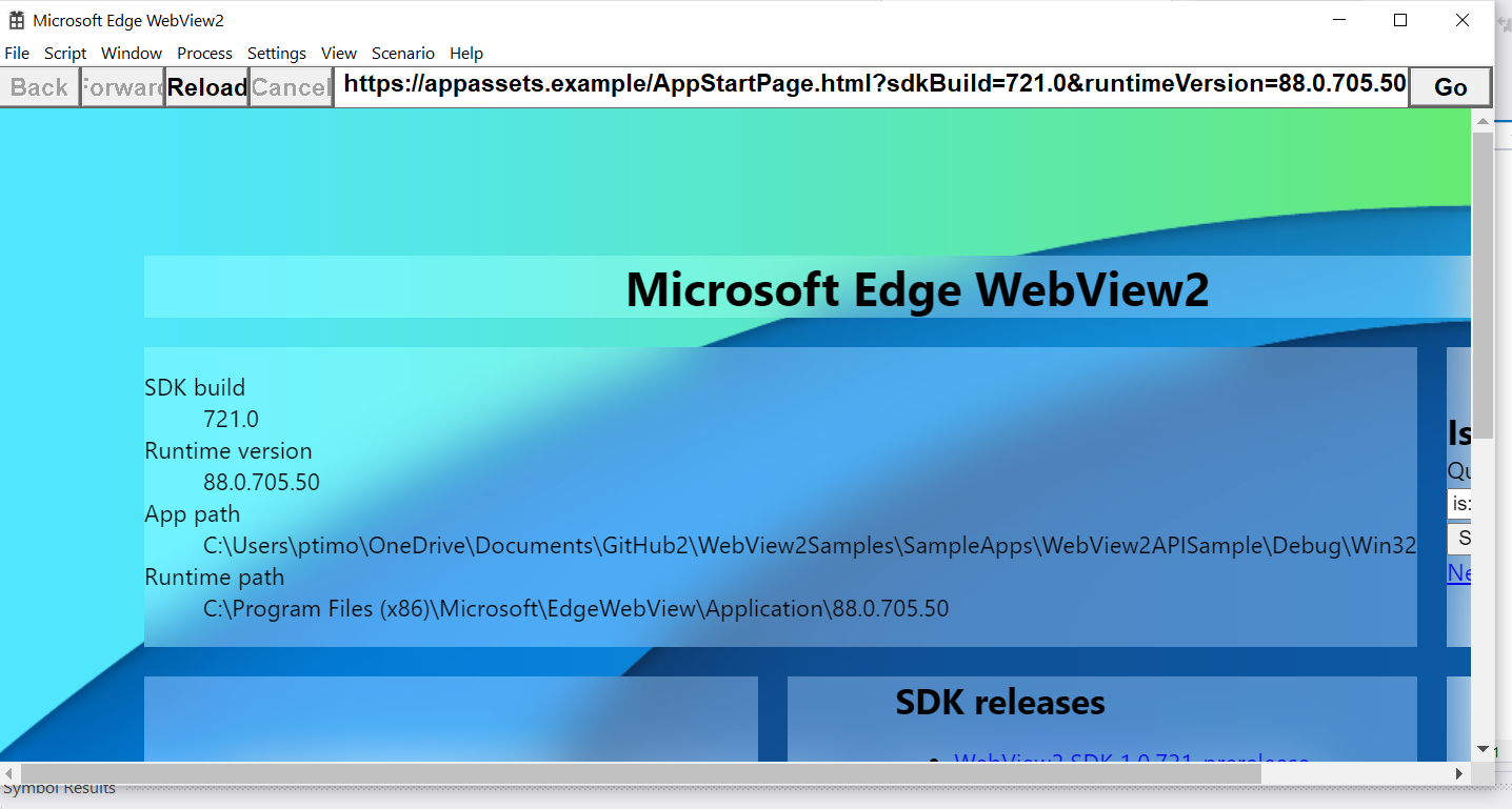 The sample WebView2APISample app Aborts · Issue #73 · MicrosoftEdge/WebView2Samples · GitHub
