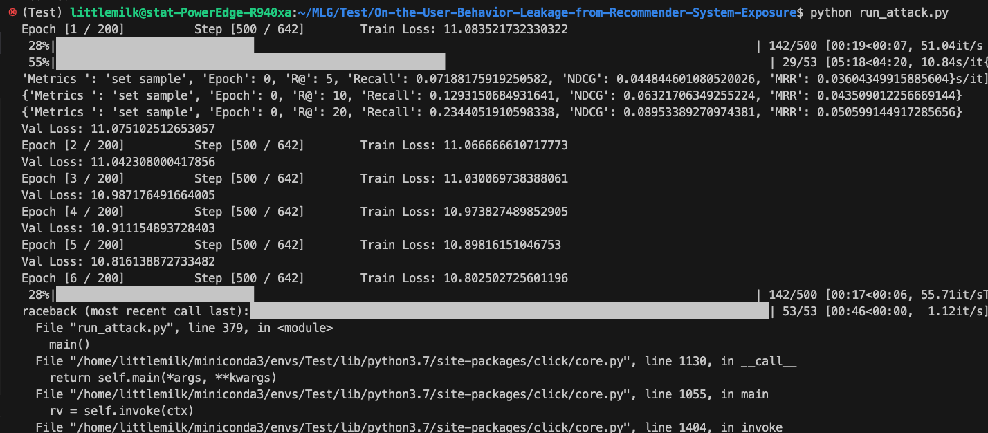 Decoder Transformer cause metrics.py raise ZeroDivisionError: float ...