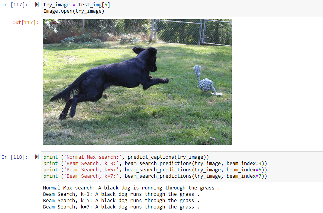 Wcenhao/image-captioning-using-inception-v3-and-beam-search