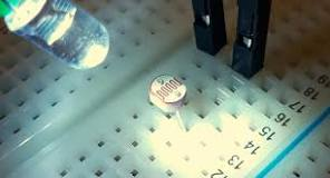 GitHub - Kaki-the-Kid/arduino-cyberplant