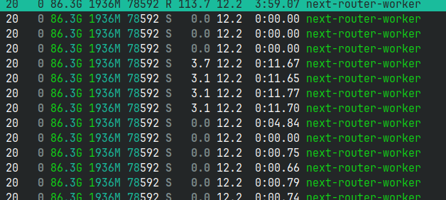Multiple next-router-worker instances duplicated · Issue #55649 · vercel/next.js · GitHub