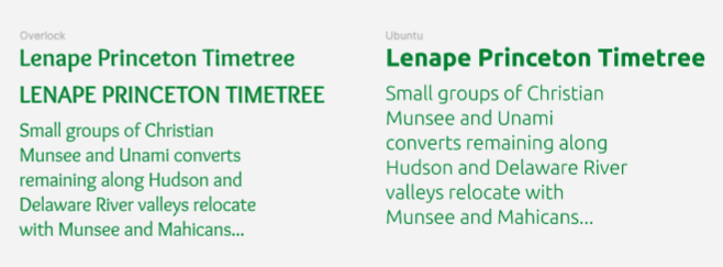 Search for and propose two typefaces that are appropriate for the site's topic and concept ...