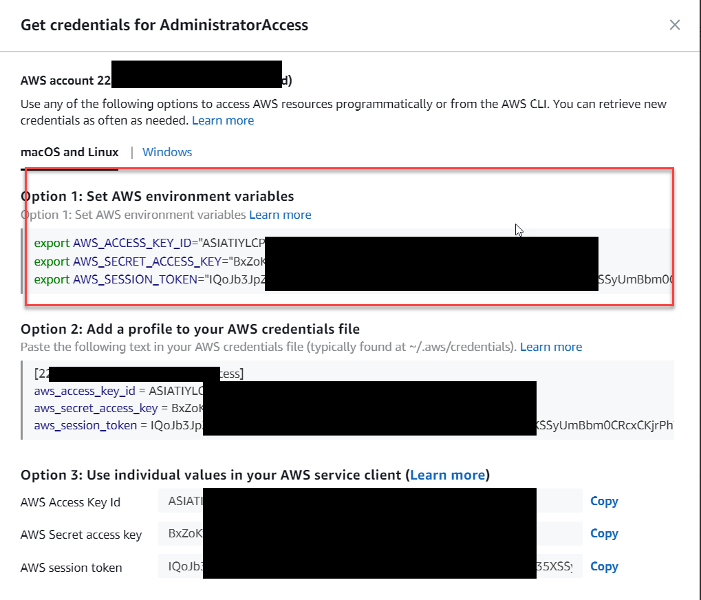 Capability to copy credentials to clipboard instead of to ~/.aws/credentials · Issue #59 ...