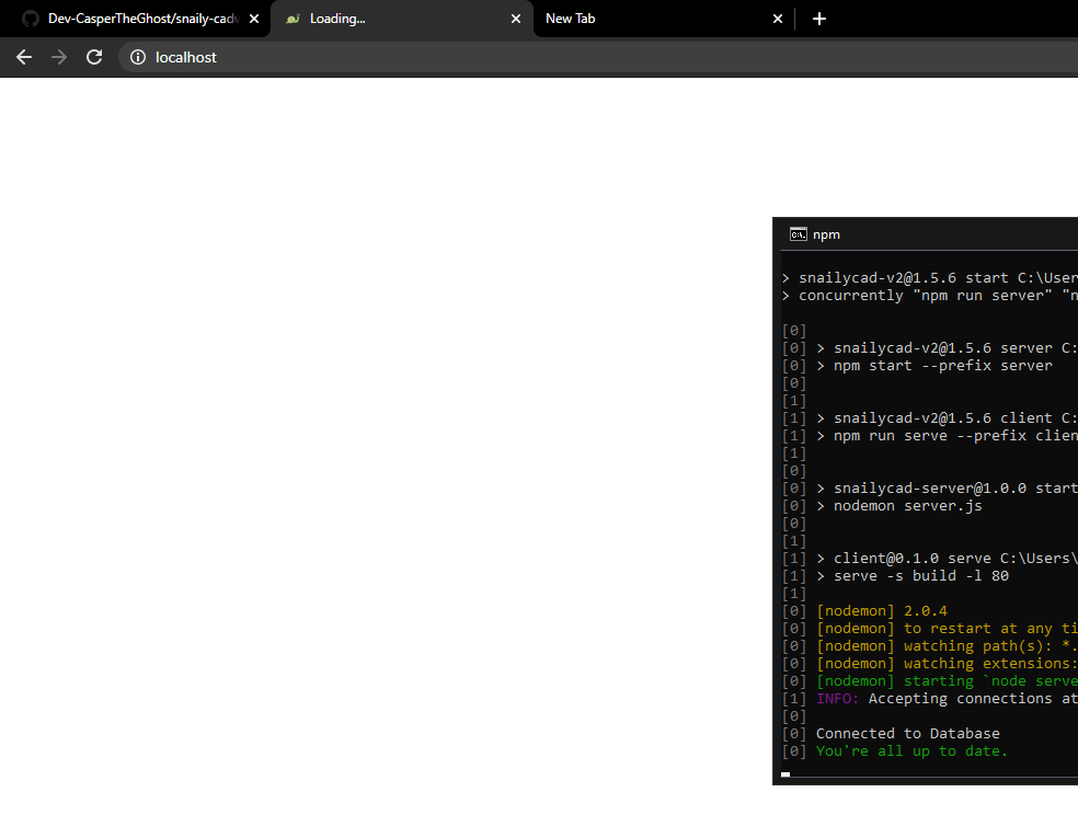 CAD is not properly installing · Issue #15 · casperiv0/snaily-cadv2 · GitHub