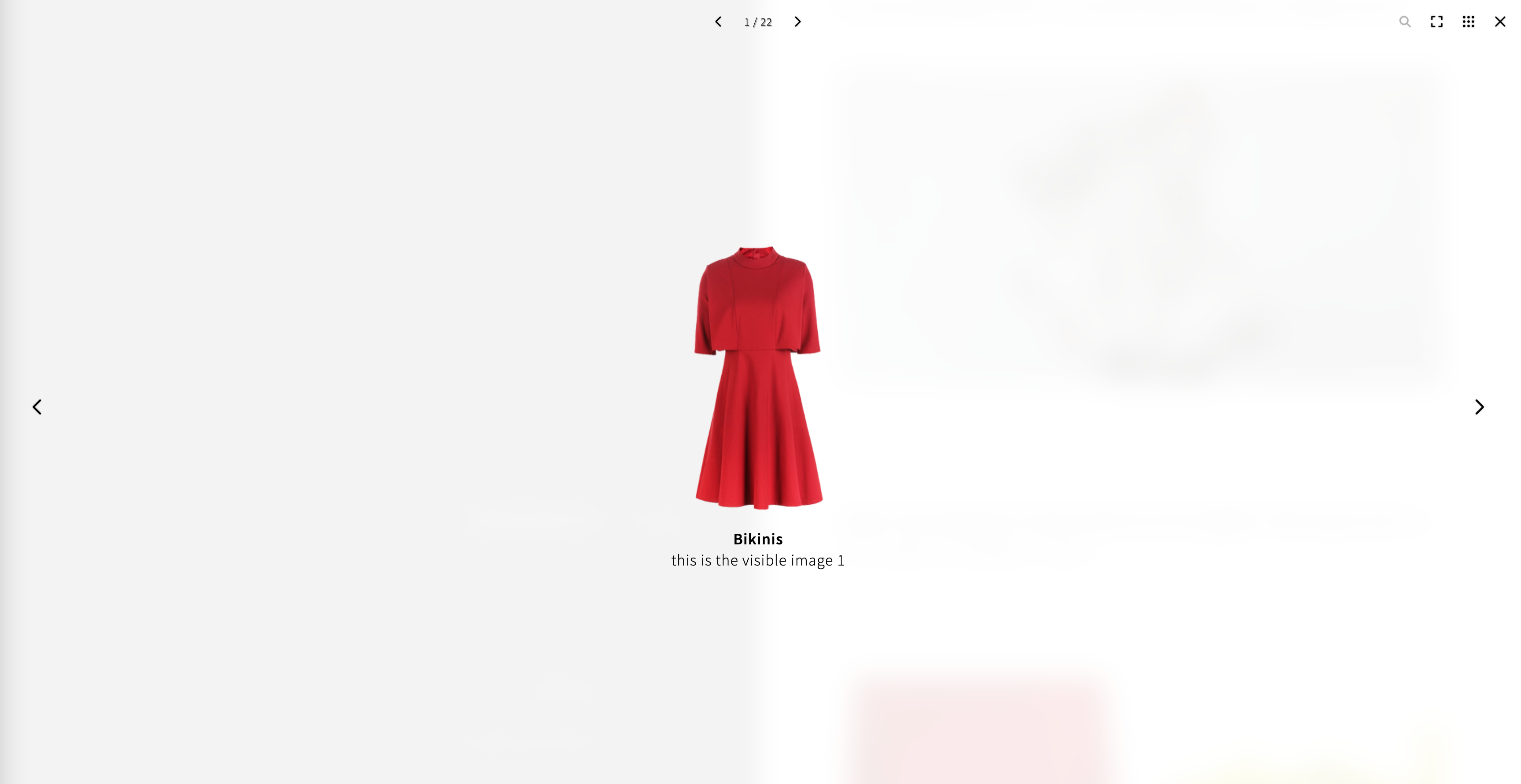 Panzoom maxScale · Issue #202 · fancyapps/ui · GitHub