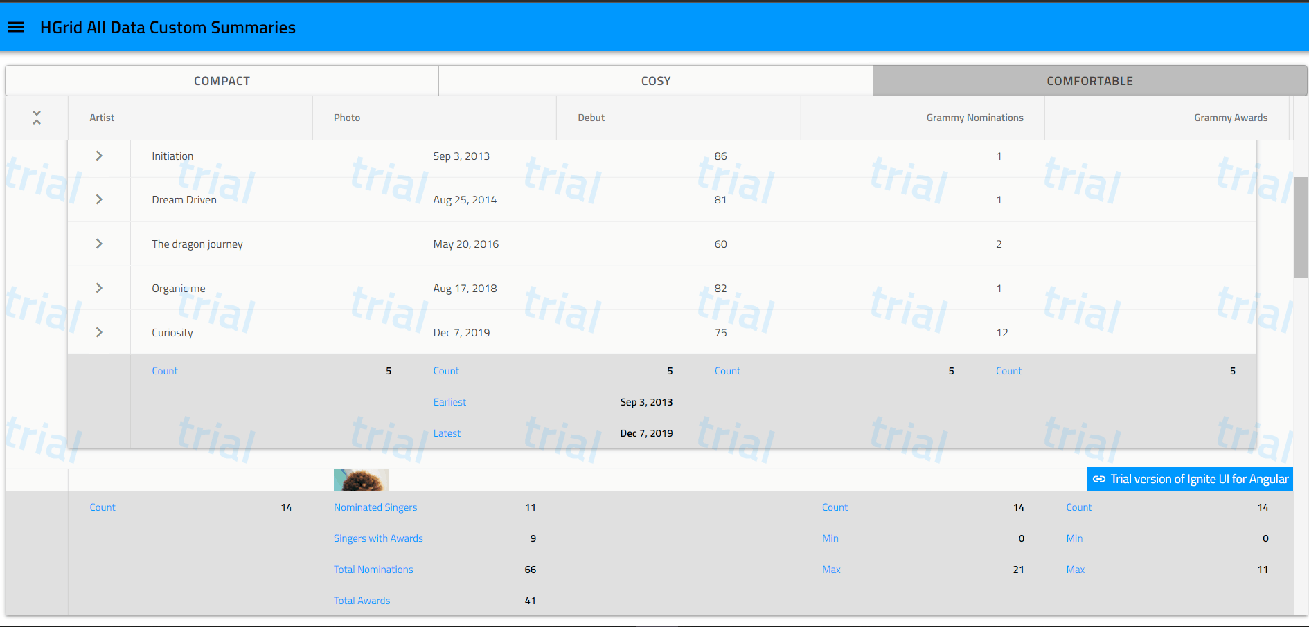 Summaries row size in row-island · Issue #10645 · IgniteUI/igniteui-angular · GitHub