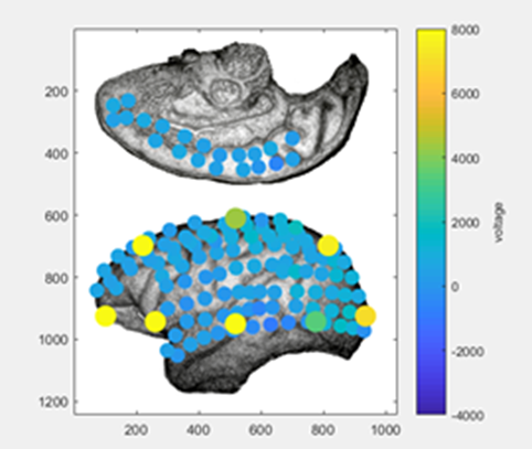 GitHub - KieranMills/EEG_and_ECOG: Code base surrounding my thesis on ...
