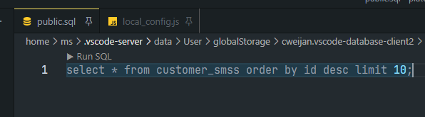 Getting Terminal outputs when writing queries · Issue #457 · cweijan/vscode-database-client · GitHub