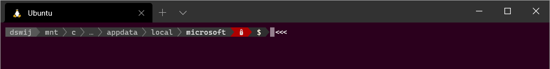 Logic error when east-asian-width argument is present · Issue #244 · justjanne/powerline-go · GitHub