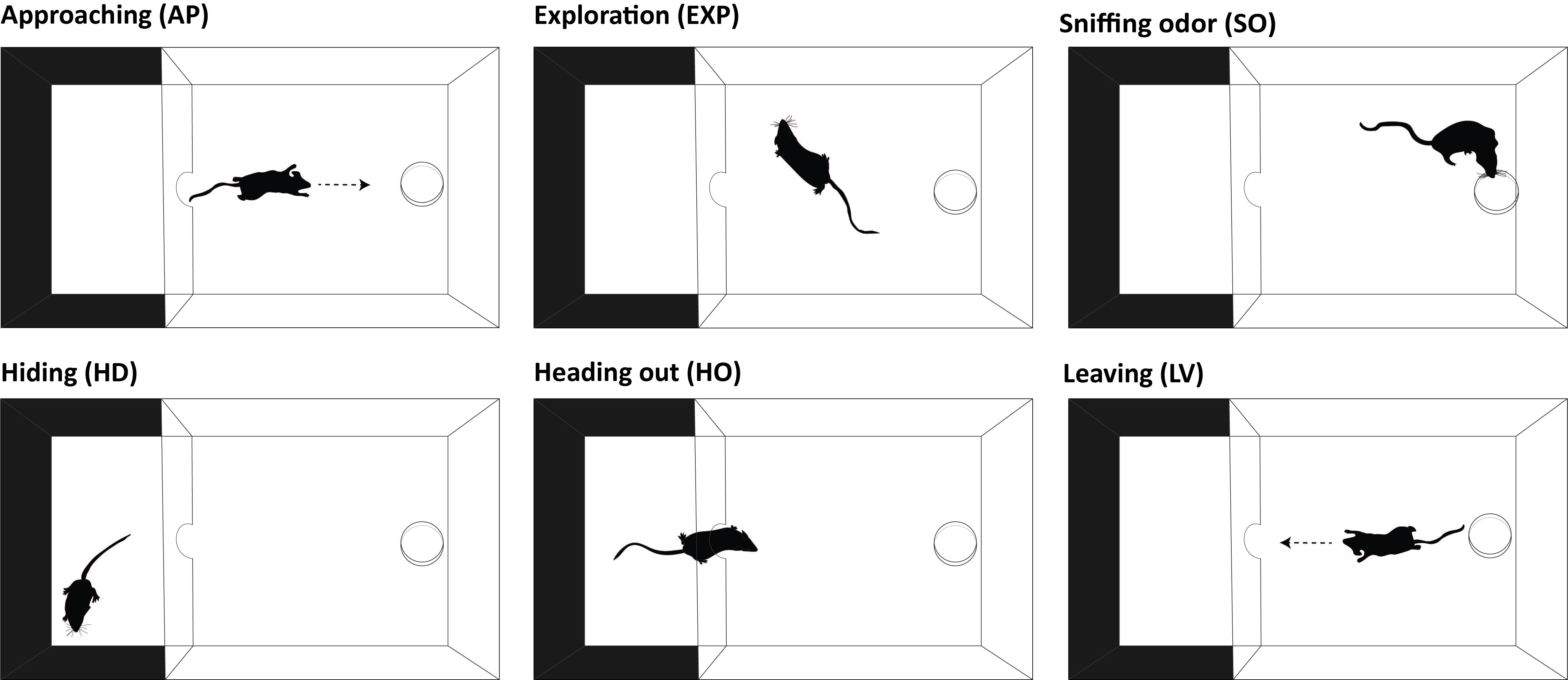 GitHub - julianmeeks/Wang_ThreatAssessment: Repository for data+code for Jinxin Wang et al ...