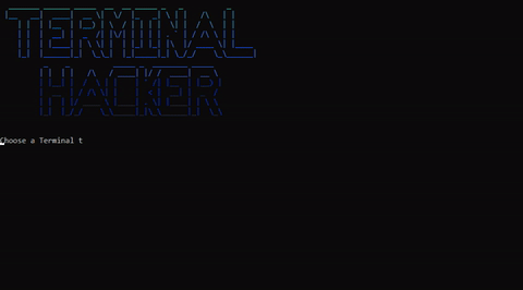 GitHub - aaarafat/TerminalHacker: A Simple Password Guessing Game Using C#