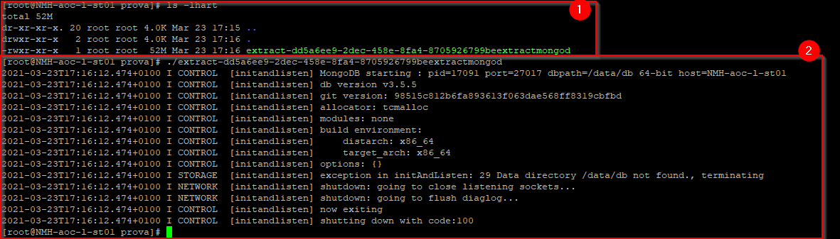 EmbeddedMongo using /tmp directory which has not execution permission · Issue #341 · flapdoodle ...
