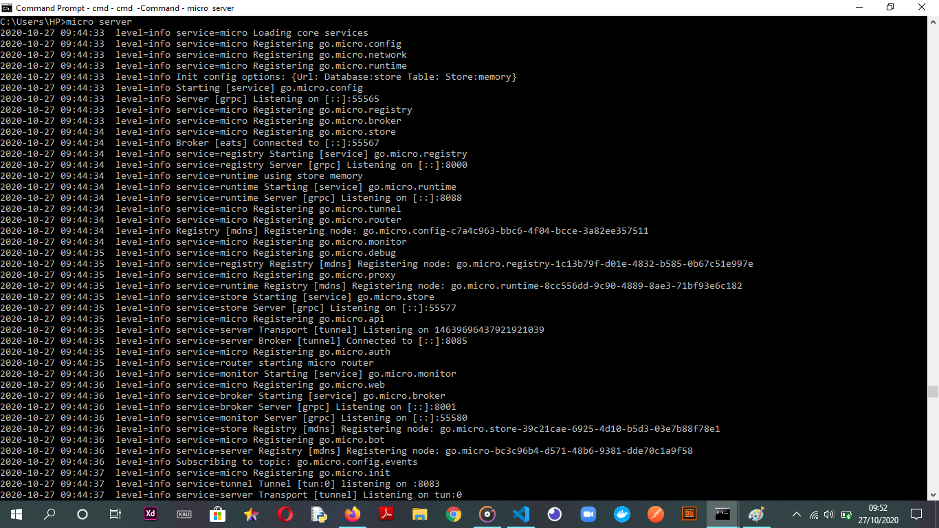 getting error when I run the 'micro server' command · Issue #1542 ...