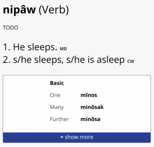Add basic paradigm with new styles · Issue #127 · UAlbertaALTLab ...