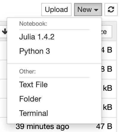 The Julia version I request isn't the Julia version I get? · Issue #903 · jupyterhub/repo2docker ...