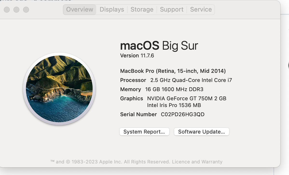 Torch does not start on Mac or Windows · Issue #1021 · mlverse/torch · GitHub