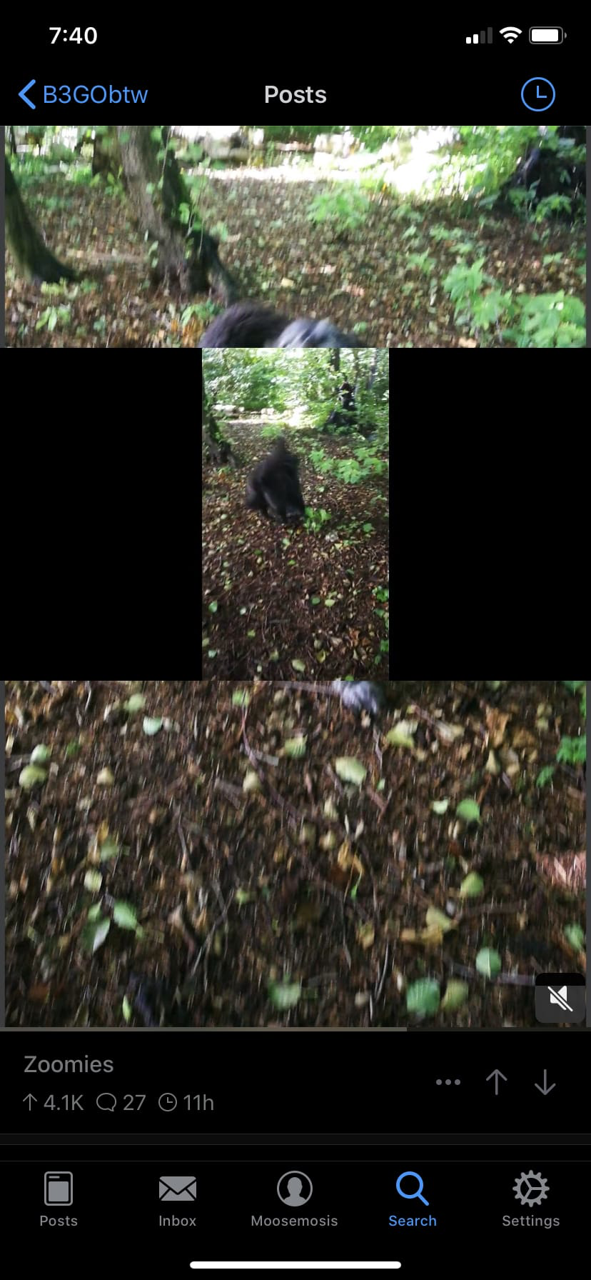 Still gif behind playing video · Issue #869 · christianselig/apollo-bugs · GitHub