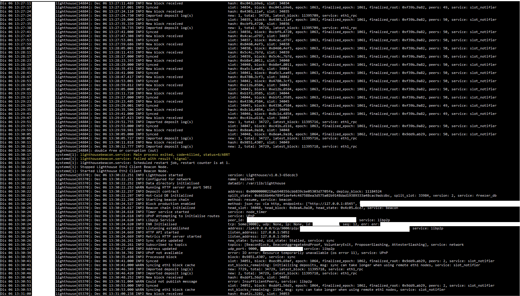 Beacon error: double free or corruption (out) · Issue #2060 · sigp/lighthouse · GitHub