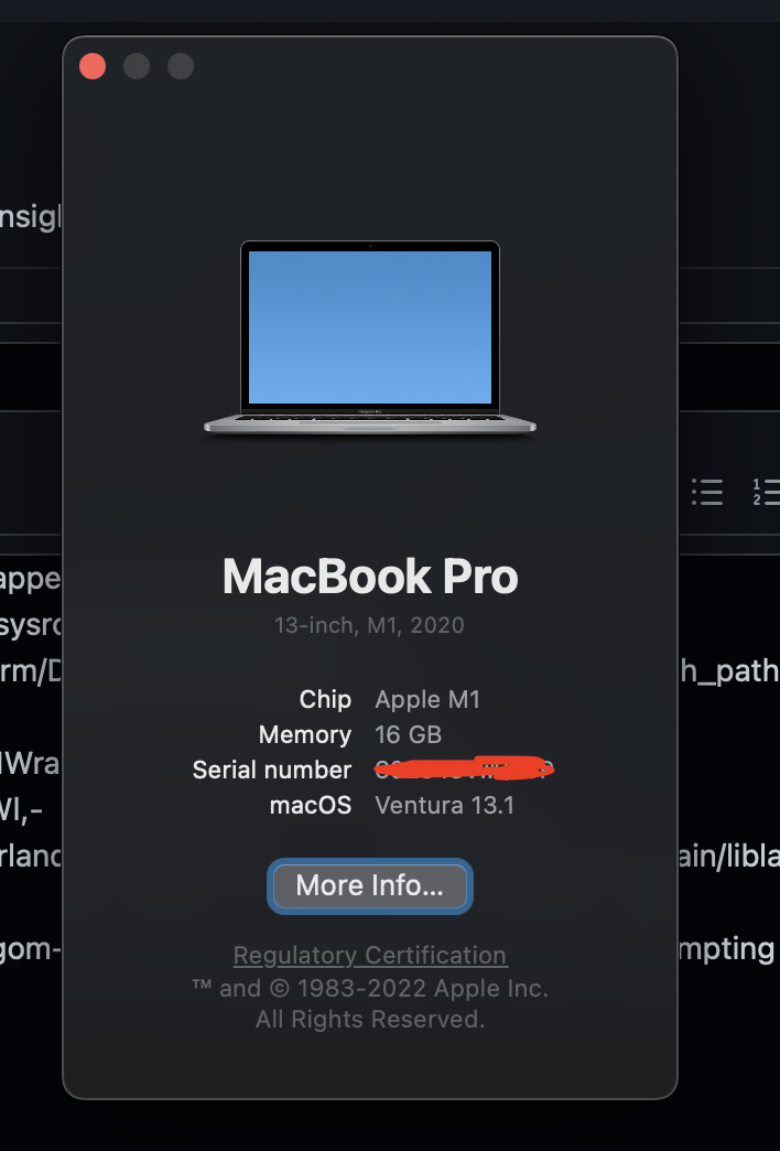 Build on Macbook pro arm m1 failed · Issue #16969 · SerenityOS/serenity · GitHub