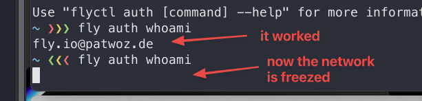 flyctl freezes my network on my MacBook Pro M1 Max · Issue #903 · superfly/flyctl · GitHub