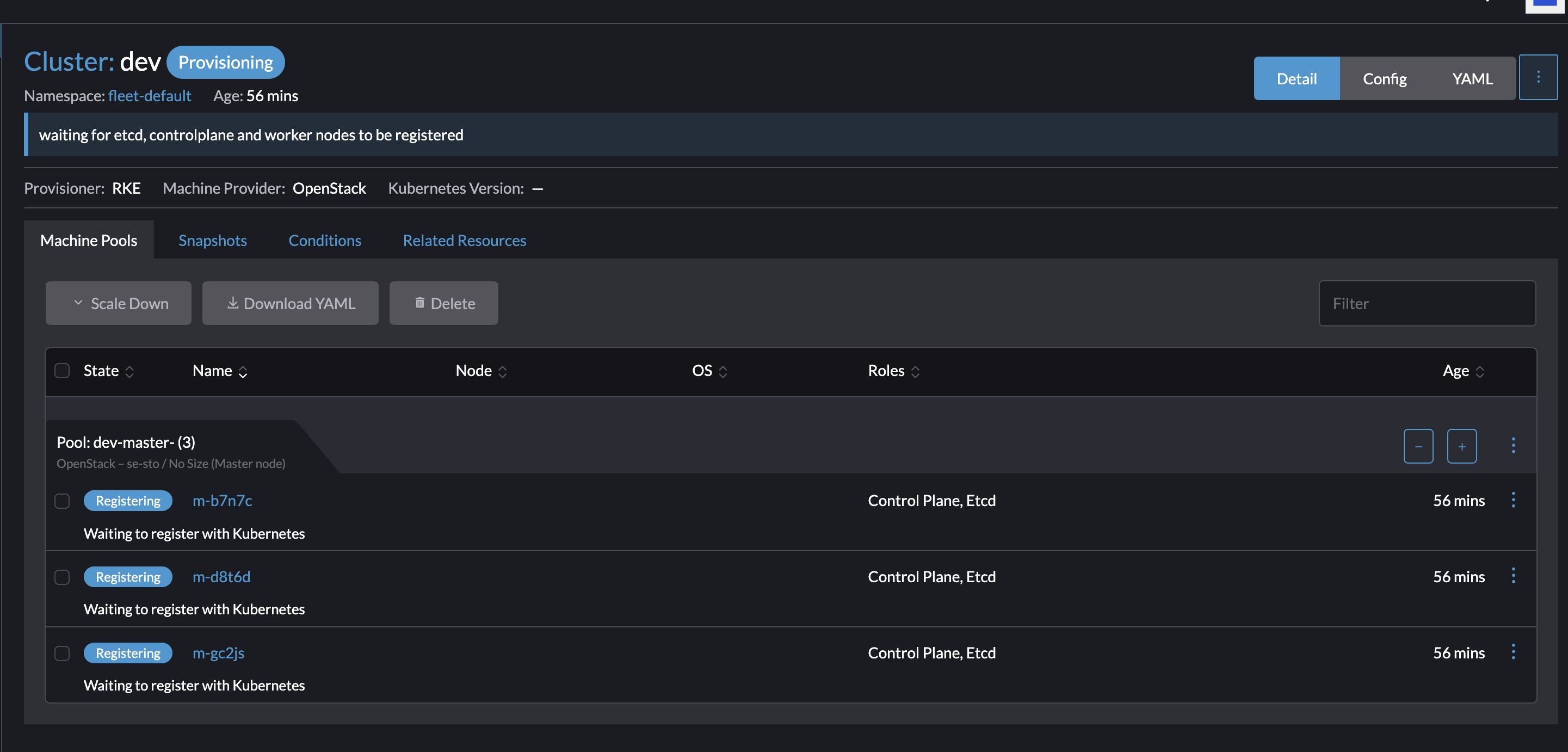 Waiting for node to register. Either cluster is not ready for registering, cluster is currently ...