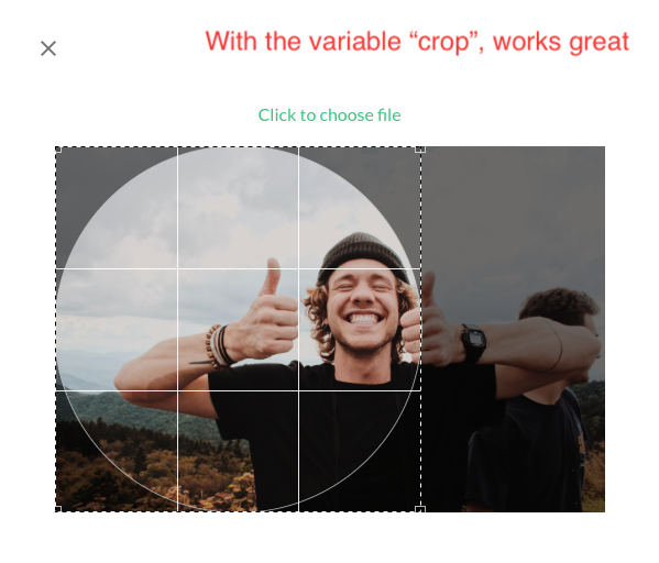 Any variable other than "crop" and the dashed lines/functionality go away · Issue #309 ...