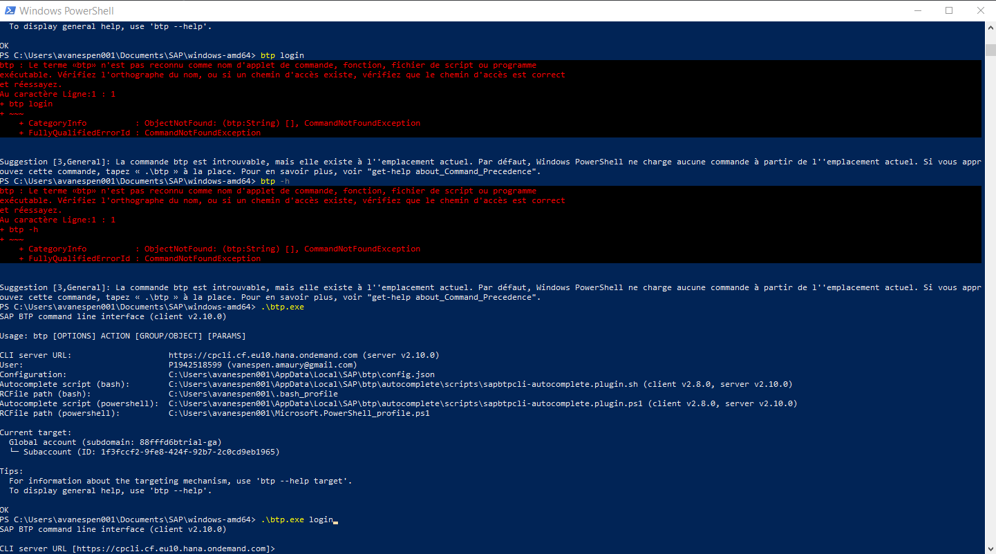 Get Started With The Sap Btp Command Line Interface Btp Cli Tips And Tricks For Btpexe As 4387