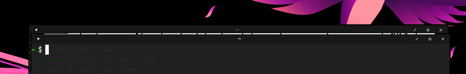 Damage/rendering issue with window borders · Issue #501 · labwc/labwc · GitHub