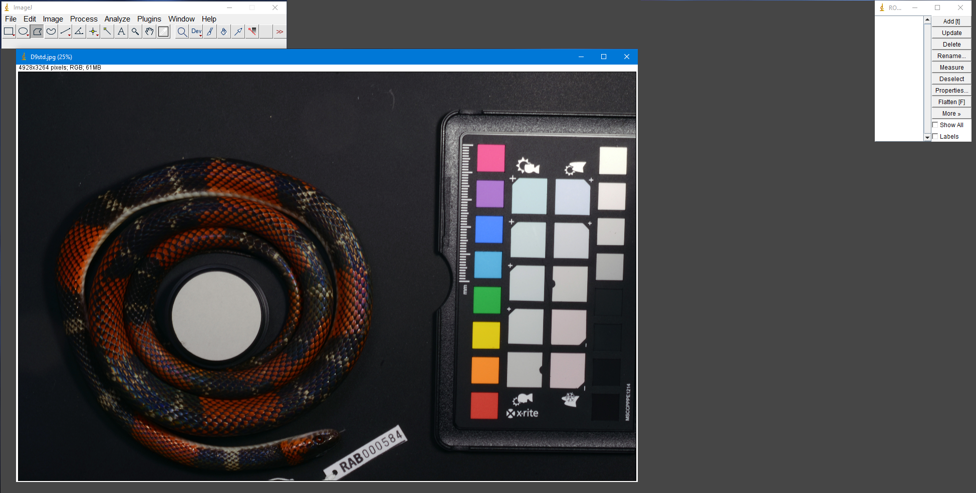 GitHub - EMBiRLab/batch-mask