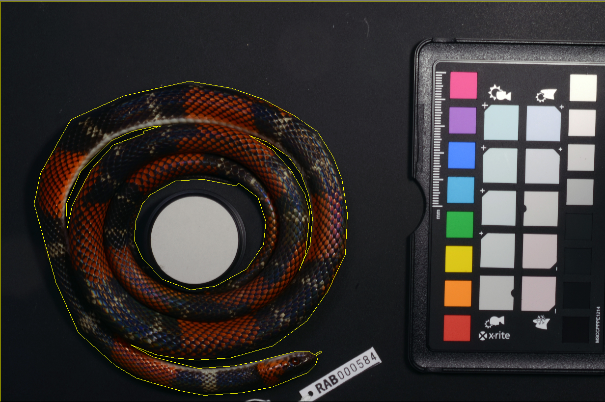 GitHub - EMBiRLab/batch-mask